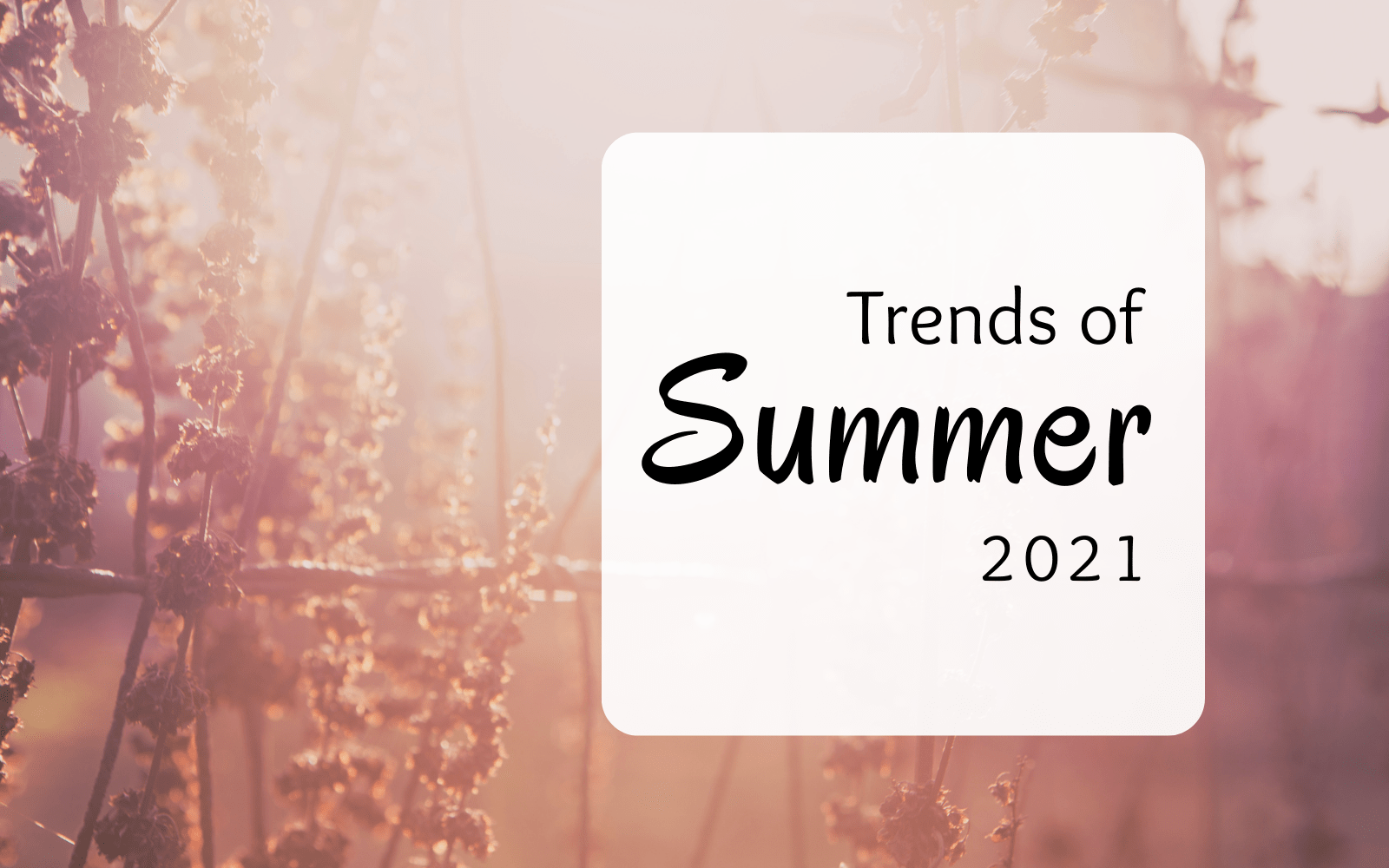 Trends of Summer 2021